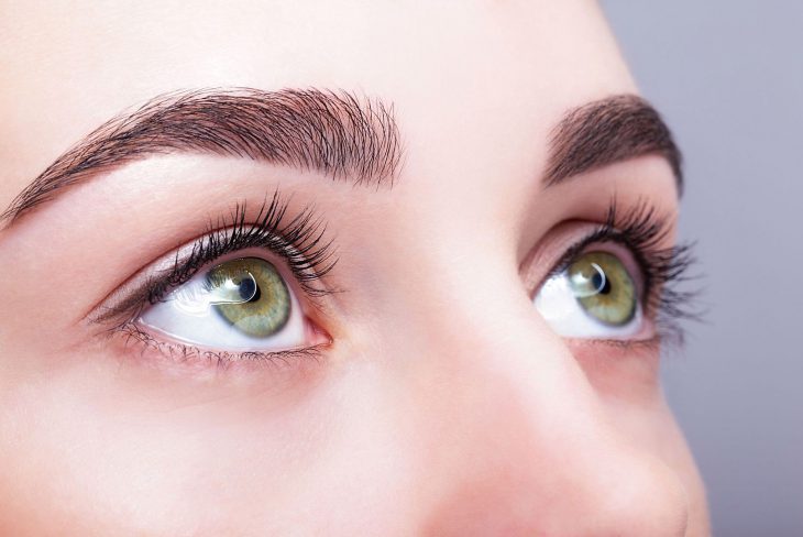 Physiognomy: what your brow shape tells about your character traits ...